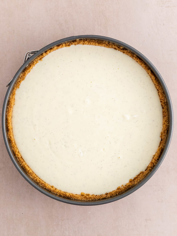 Vanilla Cheesecake - Julie Marie Eats