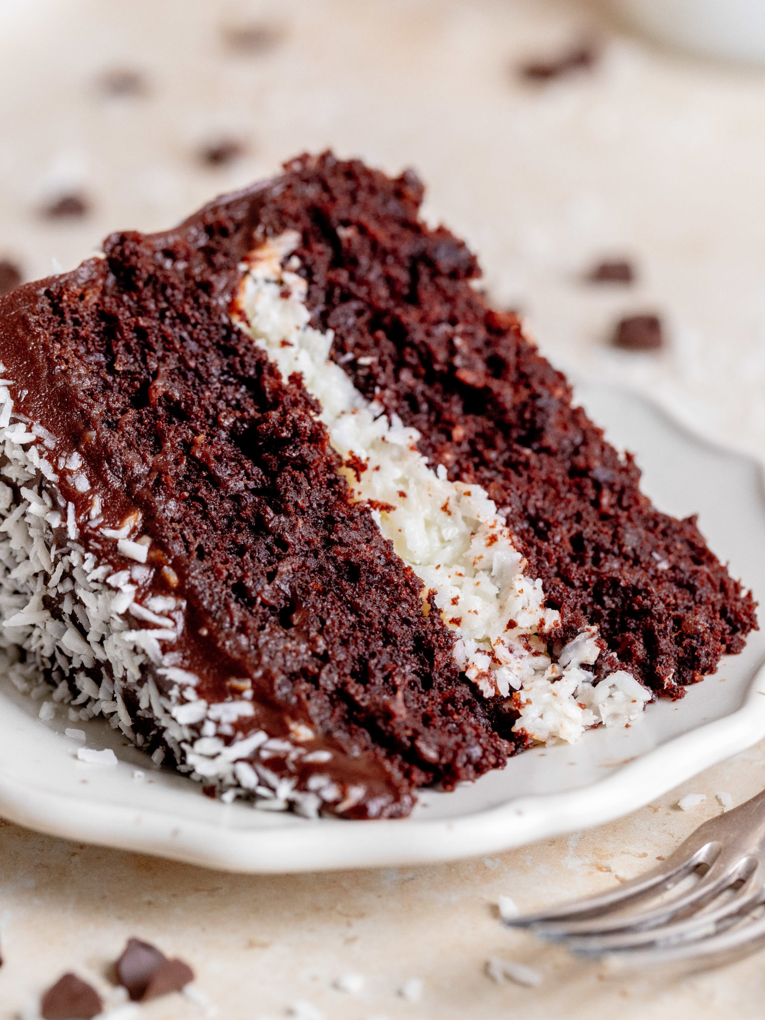 Chocolate Coconut Layer Cake - Julie Marie Eats